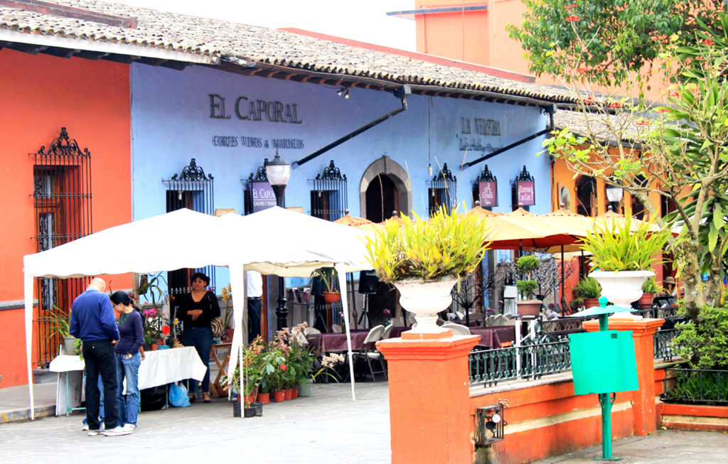 D´Tour: Este Año Nuevo visita Coatepec, Pueblo Mágico cafetalero de ...