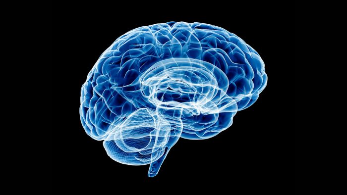 Lateralidad cruzada - La FuenteLa Fuente