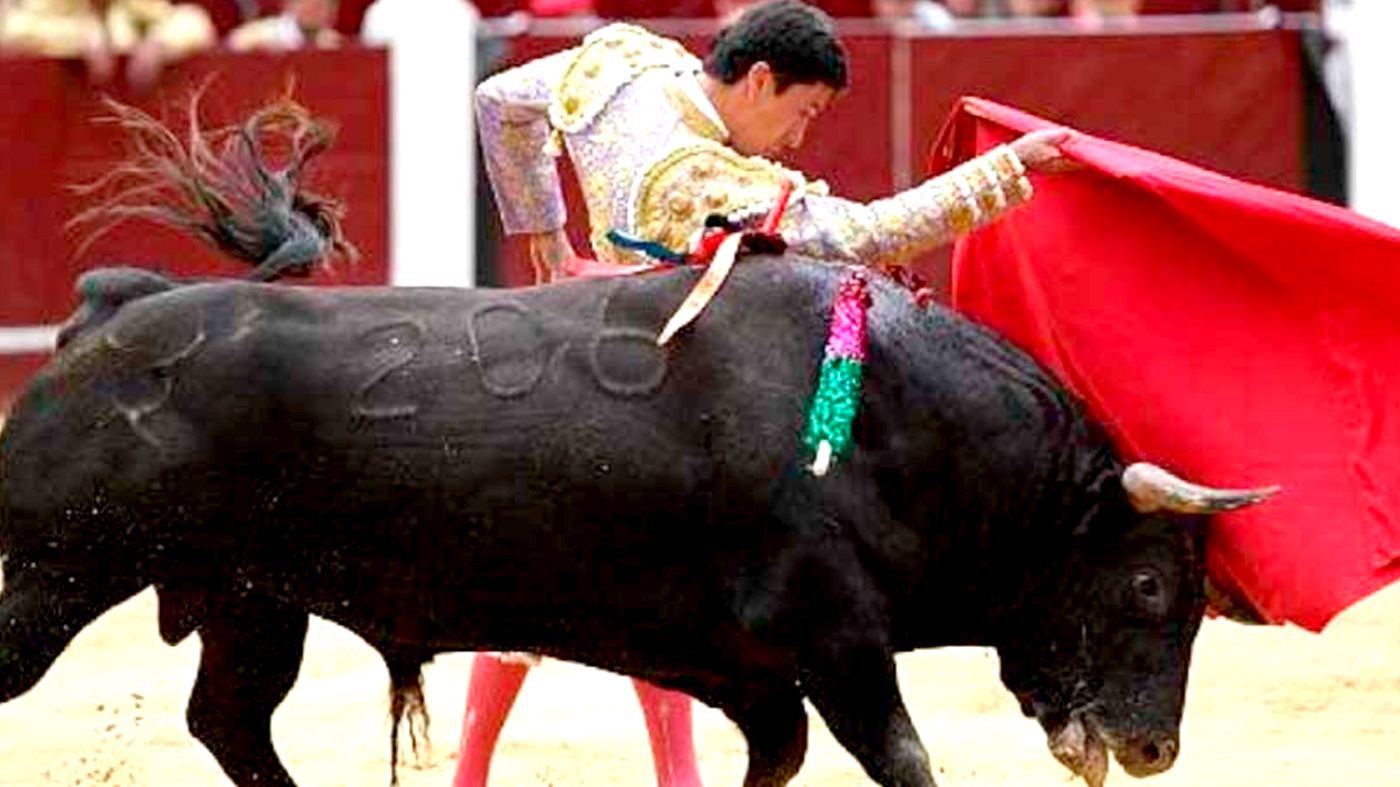 Corridas de toros en Querétaro hasta semáforo amarillo - La FuenteLa Fuente